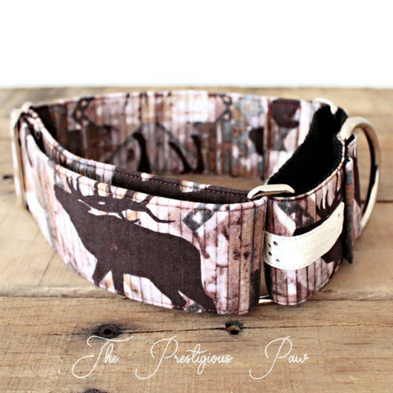 Female Hunting Dog Collars - Etsy