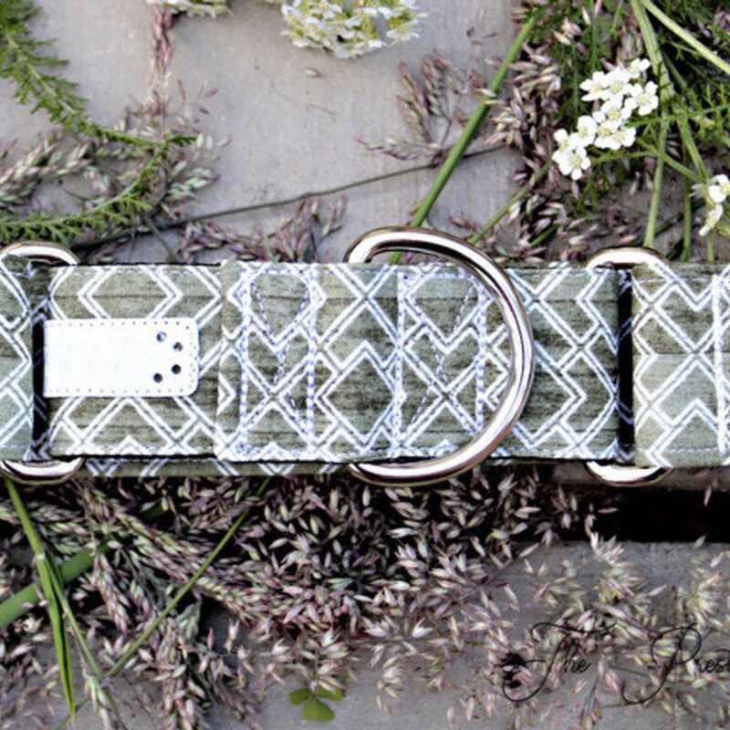 Sighthound Collar - Etsy