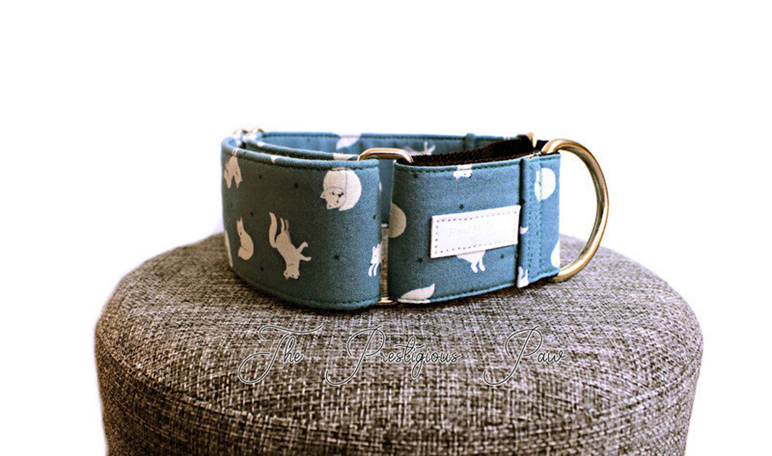 Tossed Arctic Foxes Winter Dog Collar White Fox White Blue - Etsy