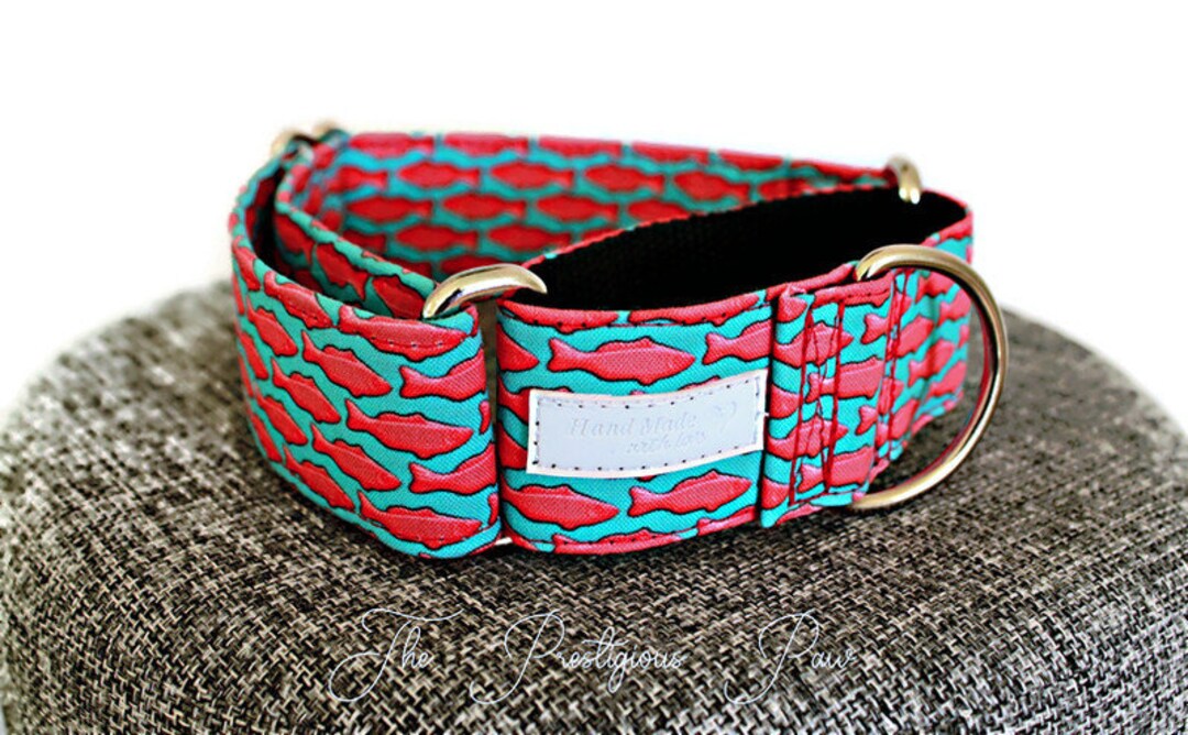 Candy Gummy Fish Martingale Dog Collar: Novelty Food Collar - Etsy