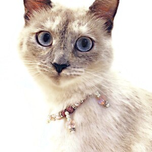 Bling Cat Collar "timeless Hearts" | Cat Wedding Collar | Gift for Pet ...