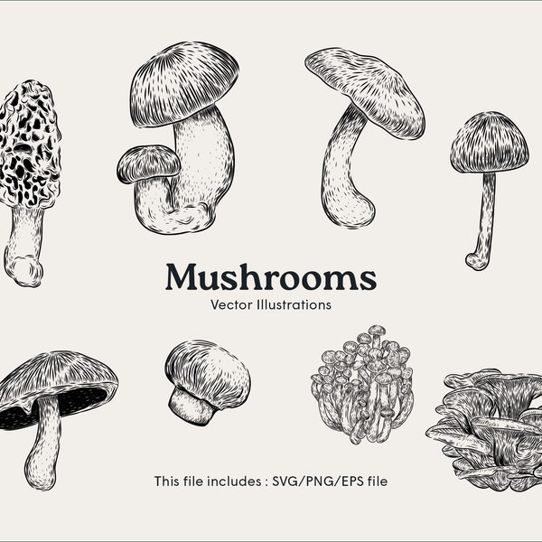 Mushroom Line Drawing - Etsy