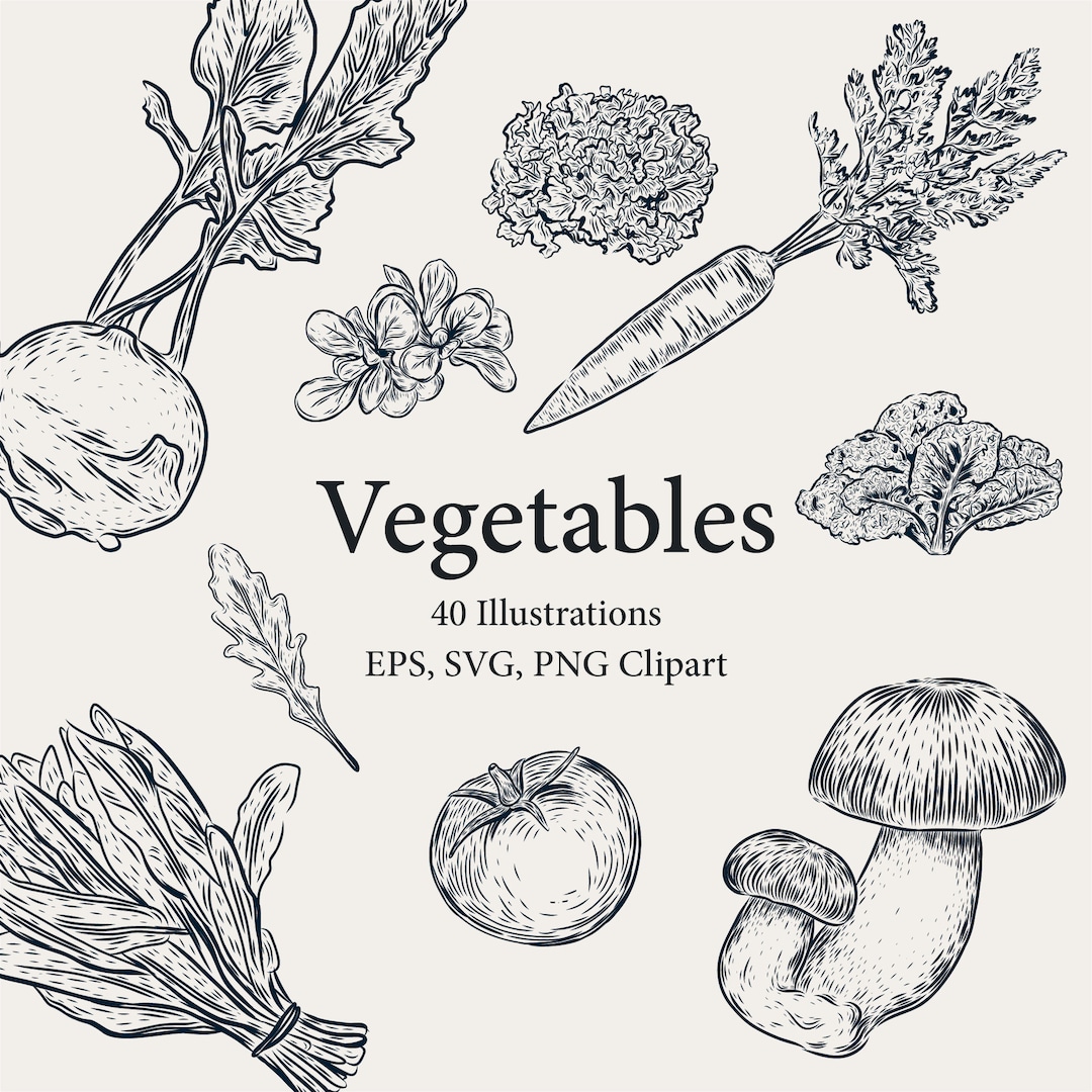 Vegetable Clipart, Garden Vegetables Clipart, Vegetables Svg, 40 Pieces ...