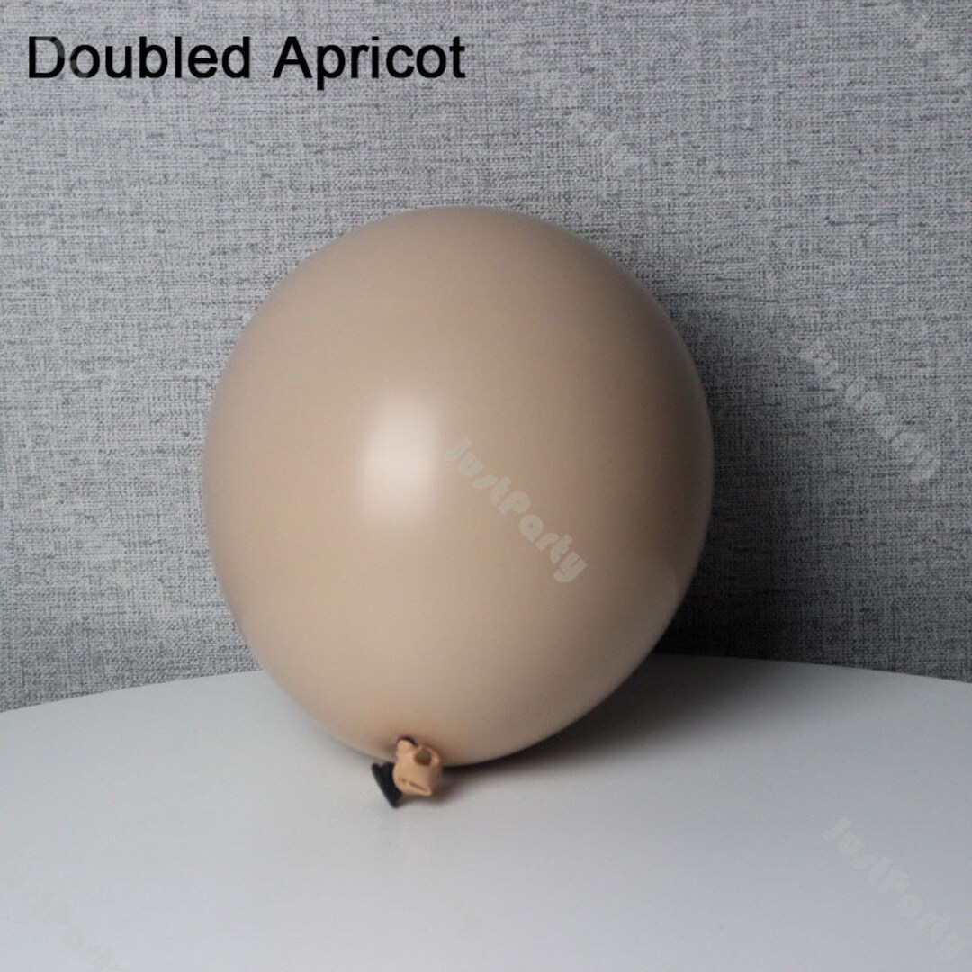 10pcs 5/10/12inch Doublé Ballons rembourrés Kit Guirlande DIY Boho ...