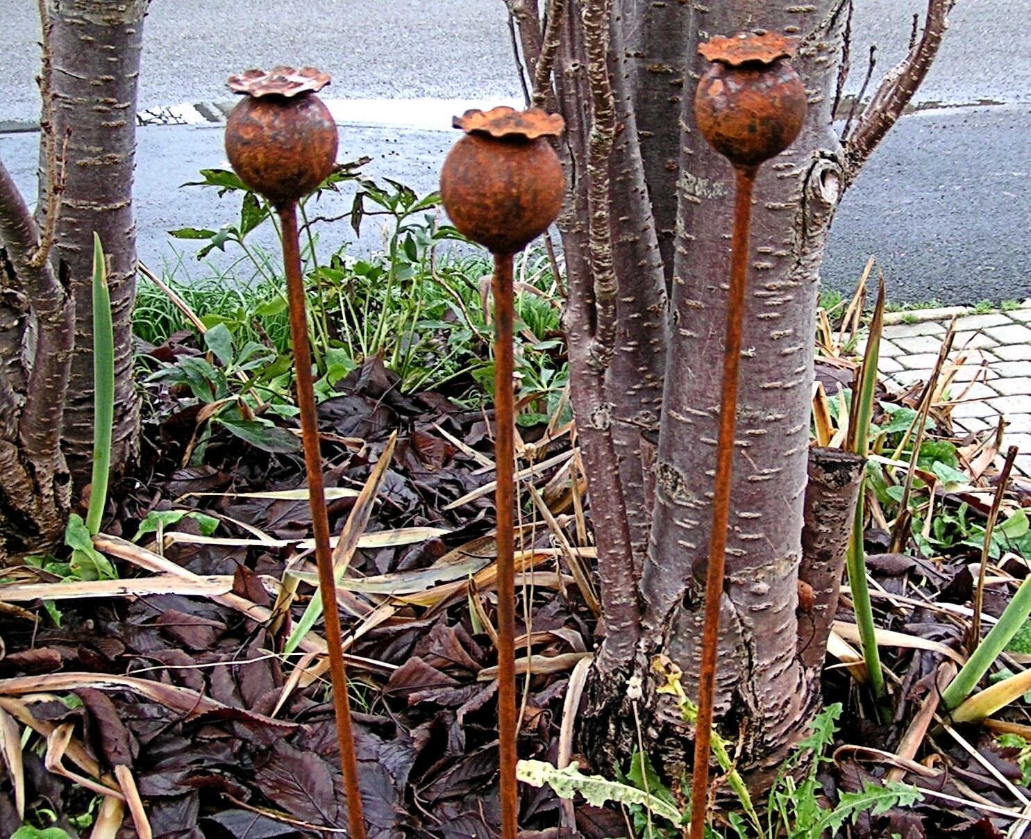 Set of 3 Rusty Poppy Seed Head Pattern Naturally Rusting - Etsy UK