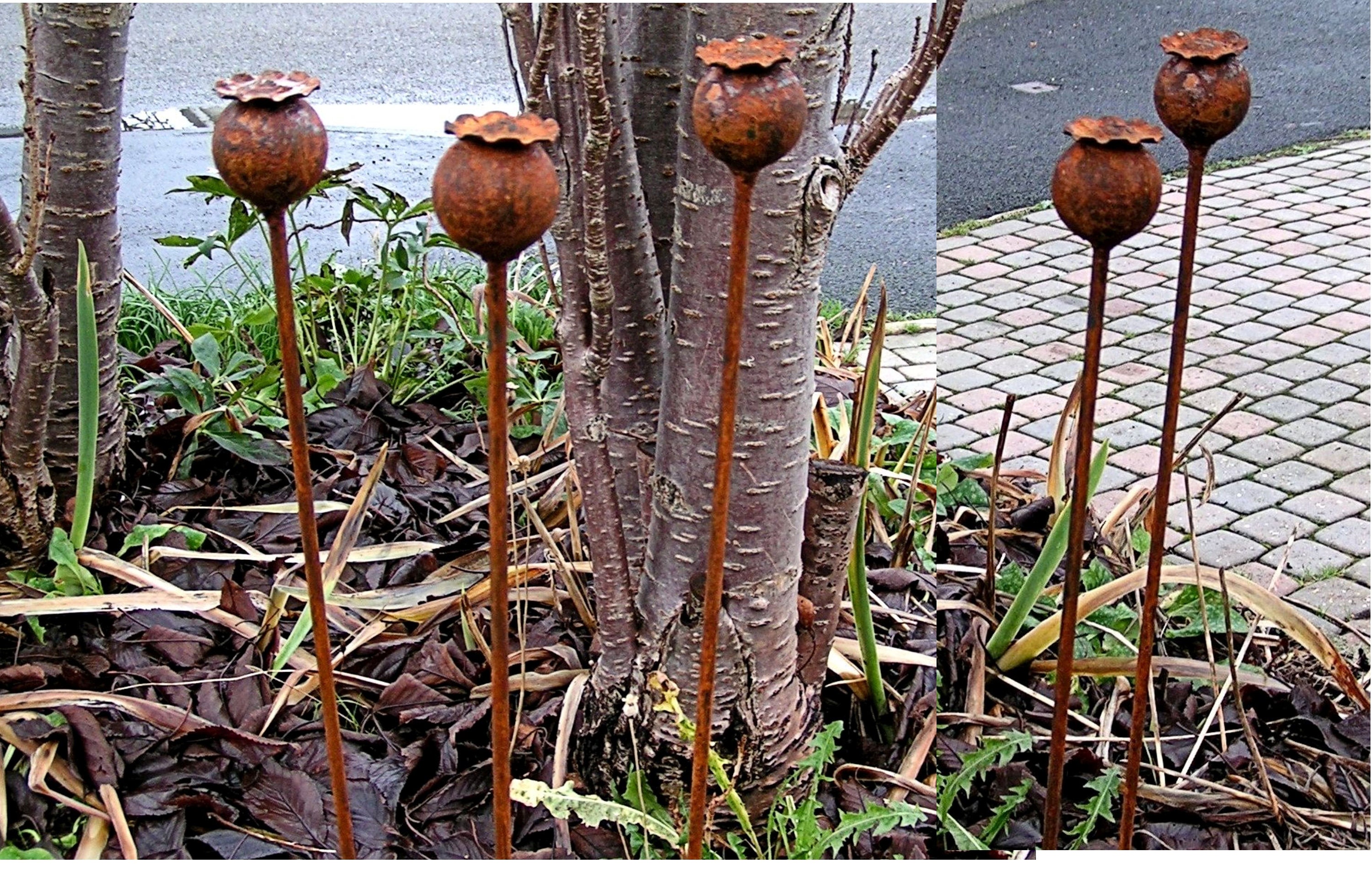 A Set of 5 Rusty Poppy Seed Head Pattern Plant Supports - Etsy UK