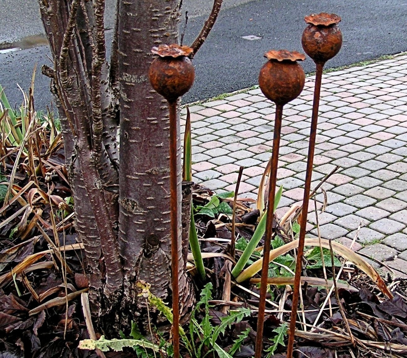 Set of 3 Rusty Poppy Seed Head Pattern Naturally Rusting - Etsy UK