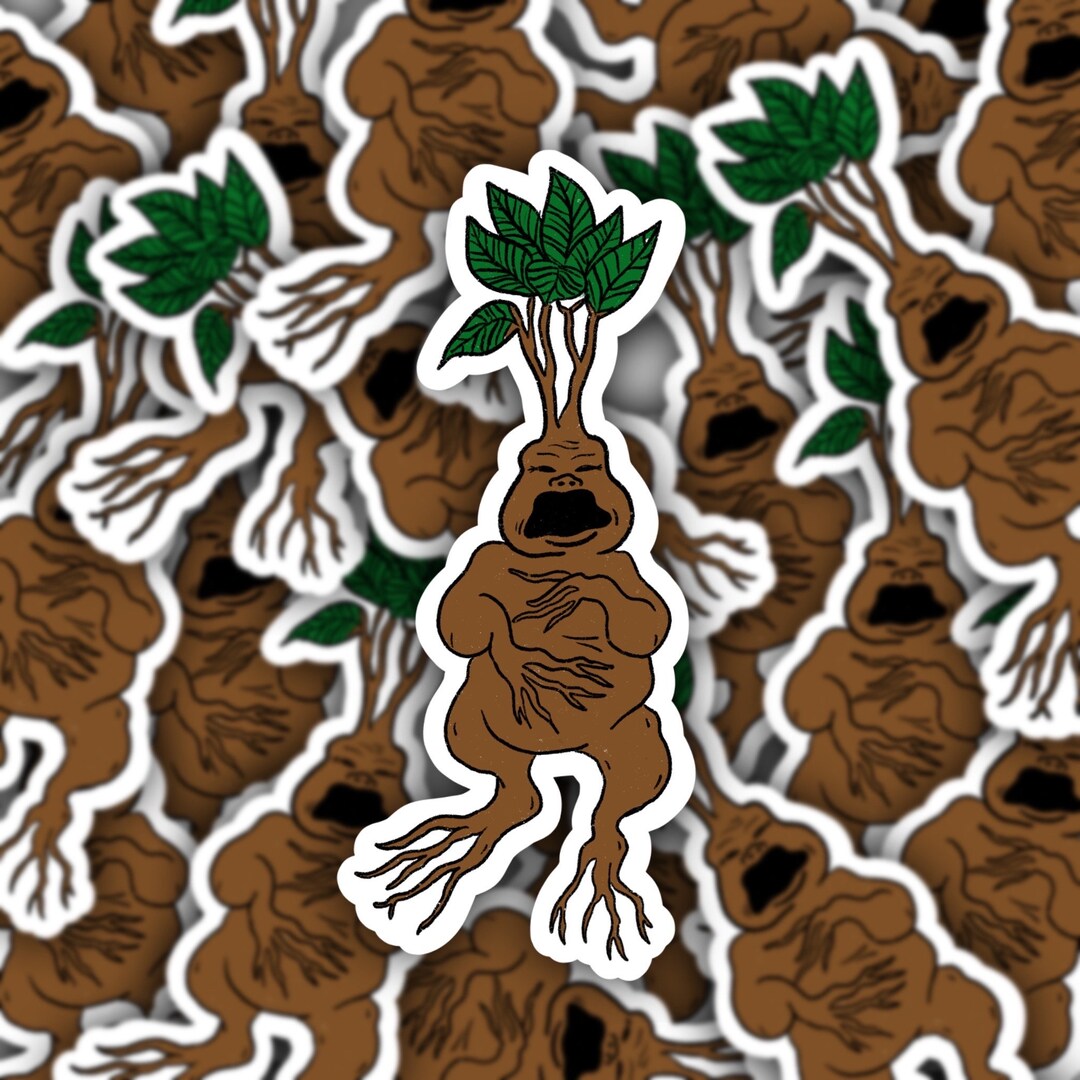 Mandrake Sticker - Waterproof - Hydro Flask - Vinyl Sticker - Laptop - Etsy