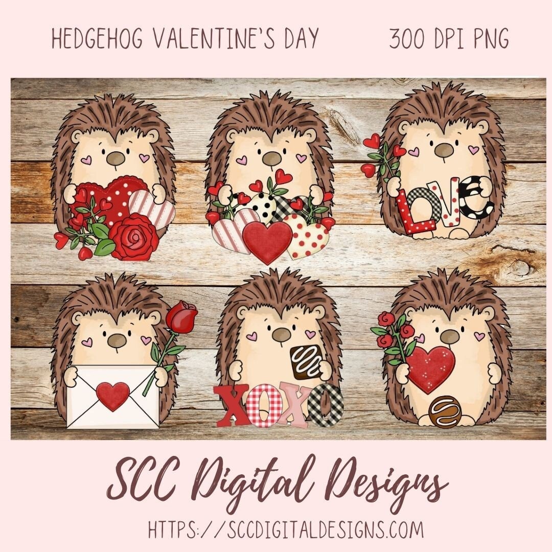 Cute Hedgehog PNG Bundle, Valentine Clipart for Sublimation for ...