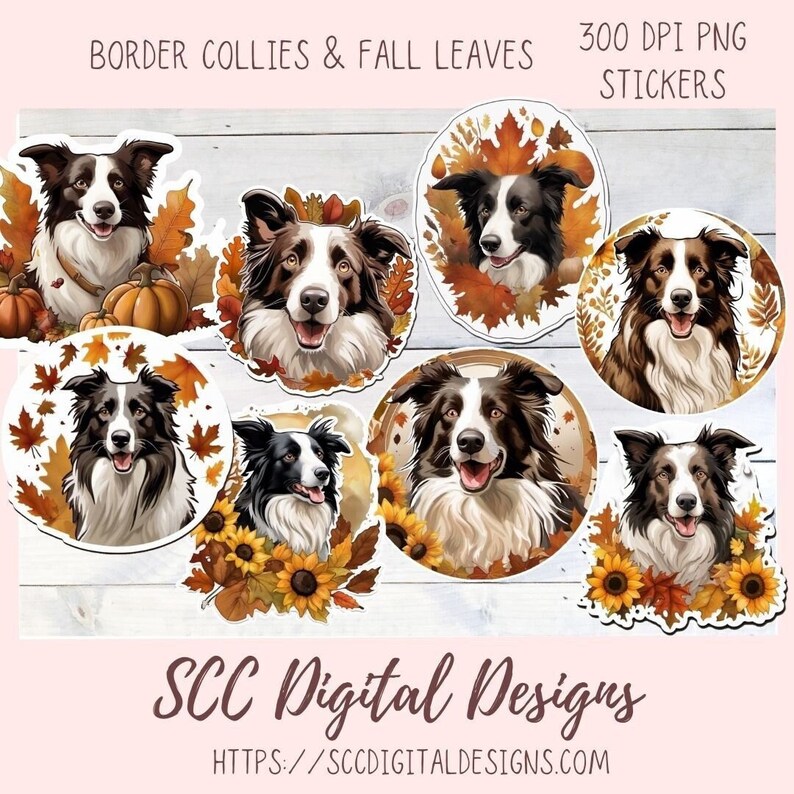 Fall Harvest Clipart Border Collie PNG Stickers for Digital or Paper ...
