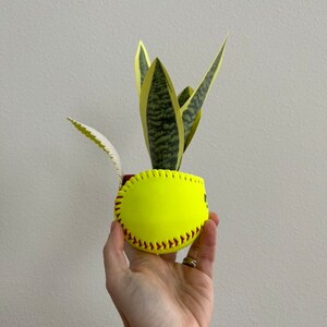 Softball Planter / Softball Decor / Softball Gift / Baseball Decor ...