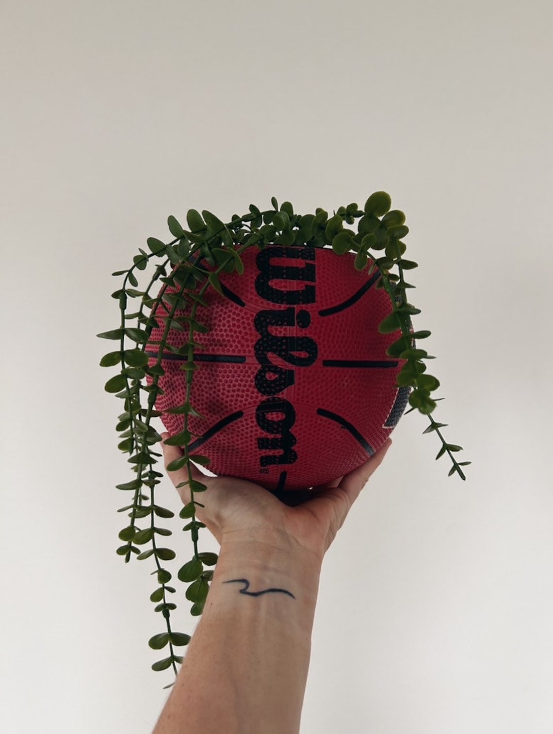 Michael Jordan Planter/ Vintage Basketball / Basketball Plant - Etsy