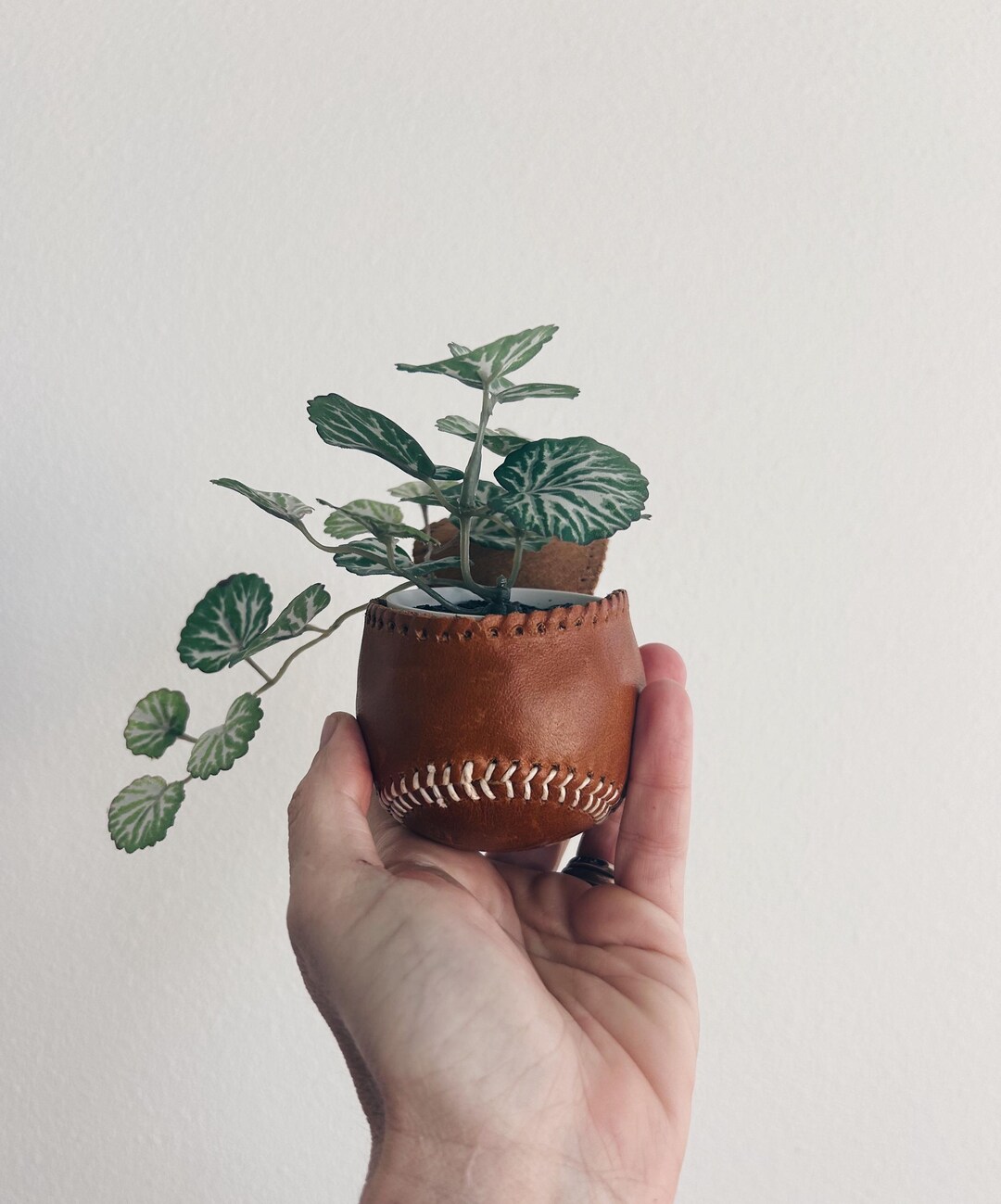 Upcycled Magnolia Home Baseball Planter / Baseball With Stand ...