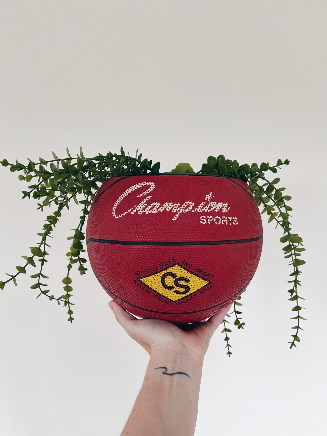 Basketball Planter / Champion Basketball / Basketball Planter With ...