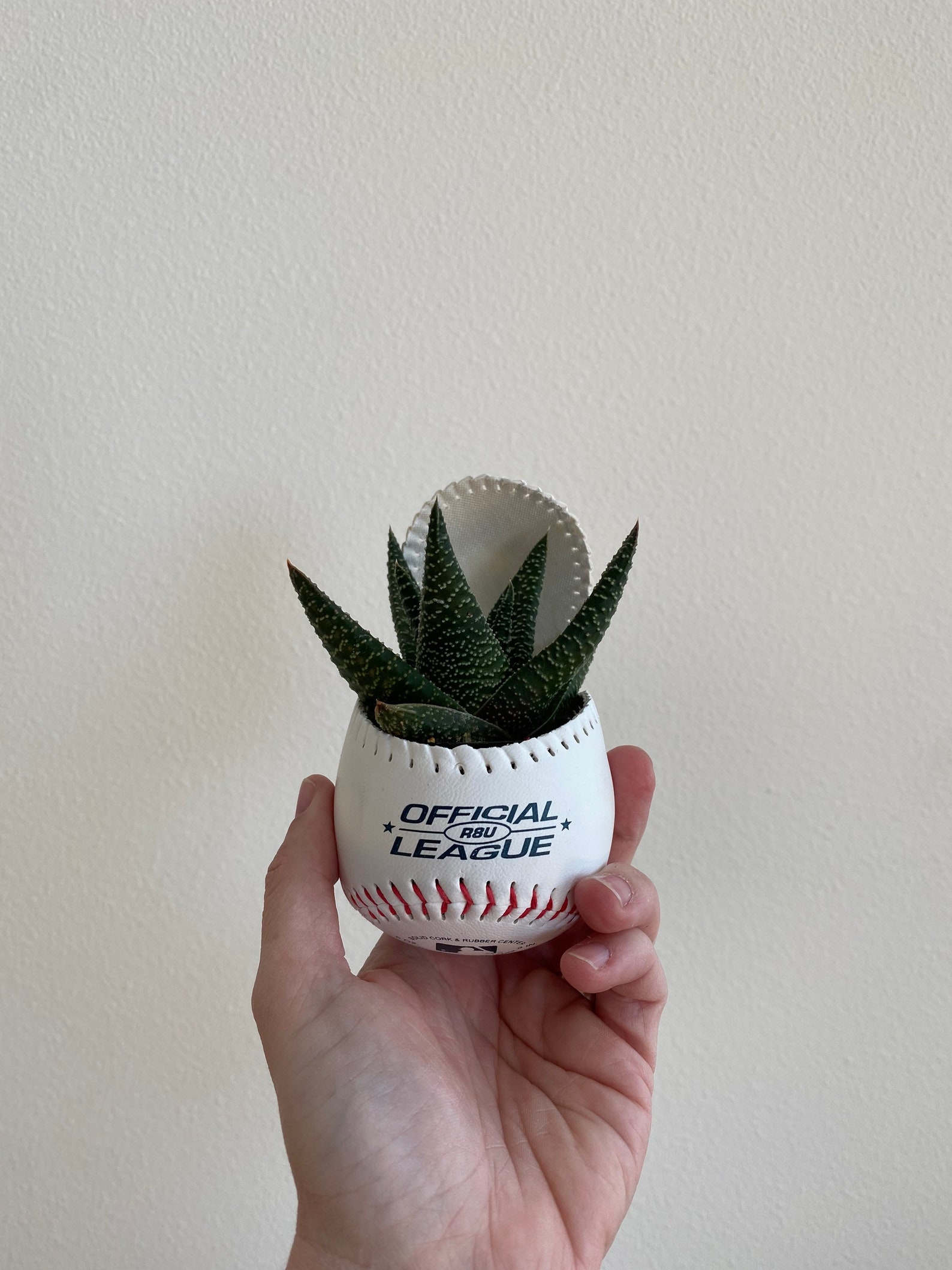 Baseball Planter / Baseball Decor / Indoor Planter / Succulent | Etsy