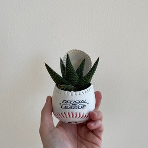 Baseball Planter / Baseball Decor / Indoor Planter / Succulent Planter ...