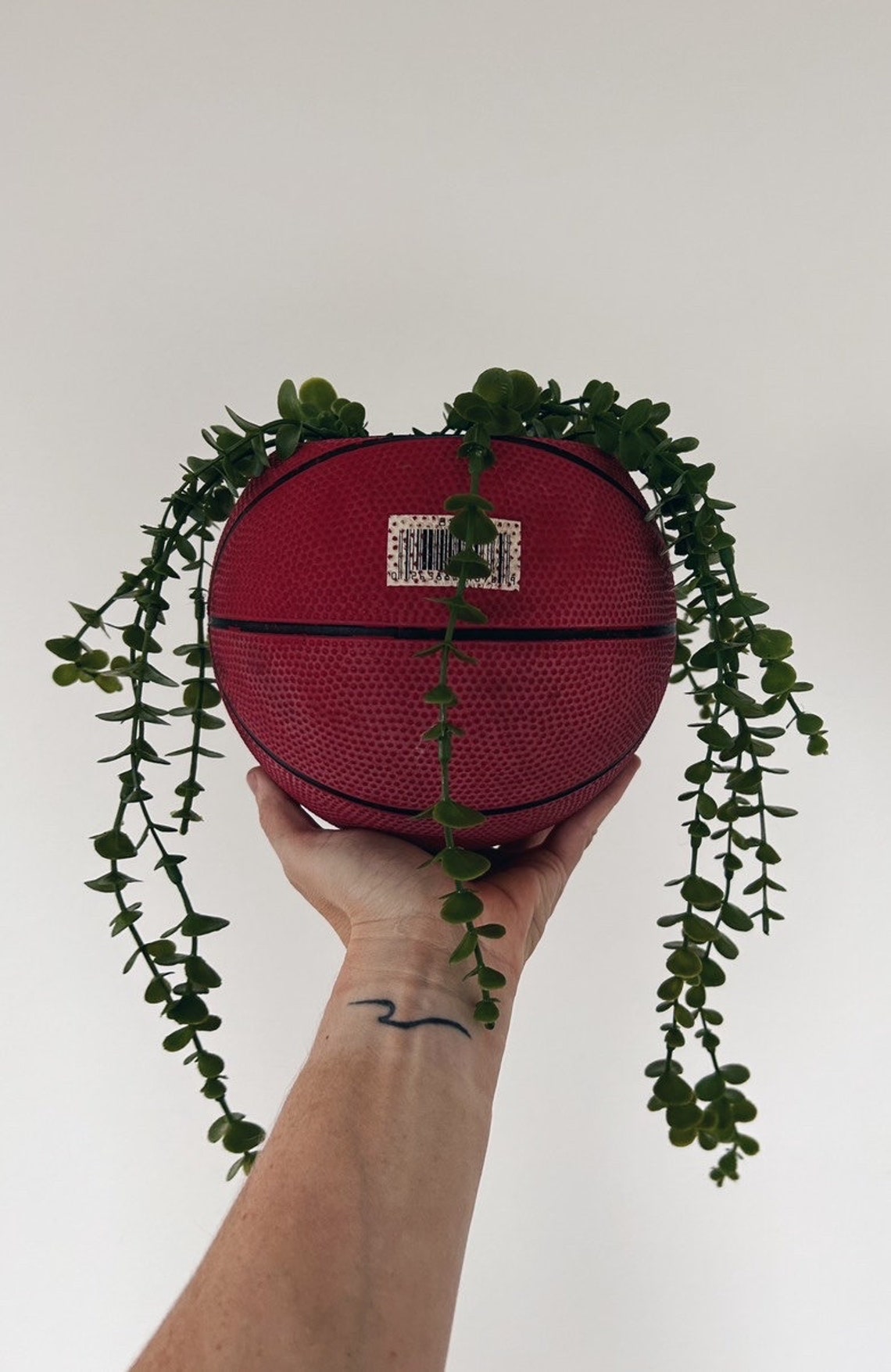 Michael Jordan Planter/ Vintage Basketball / Basketball Plant - Etsy