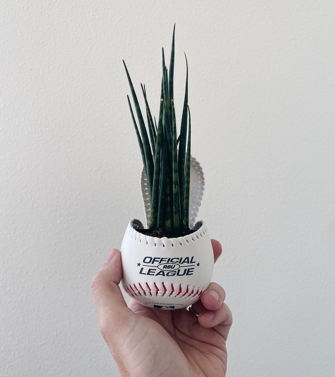 Baseball Planter / Baseball Decor / Indoor Planter / Succulent Planter ...