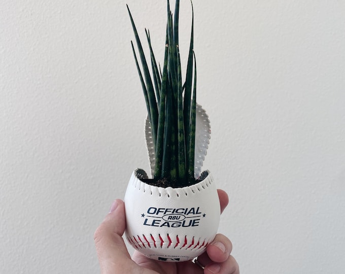 Baseball Planter / Baseball Decor / Indoor Planter / Succulent Planter ...