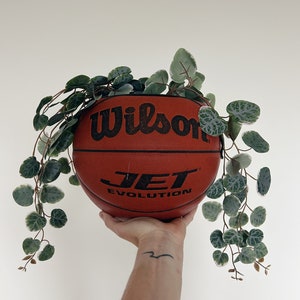 Wilson Basketball Planter / Wilson Basketball / Basketball Planter With ...