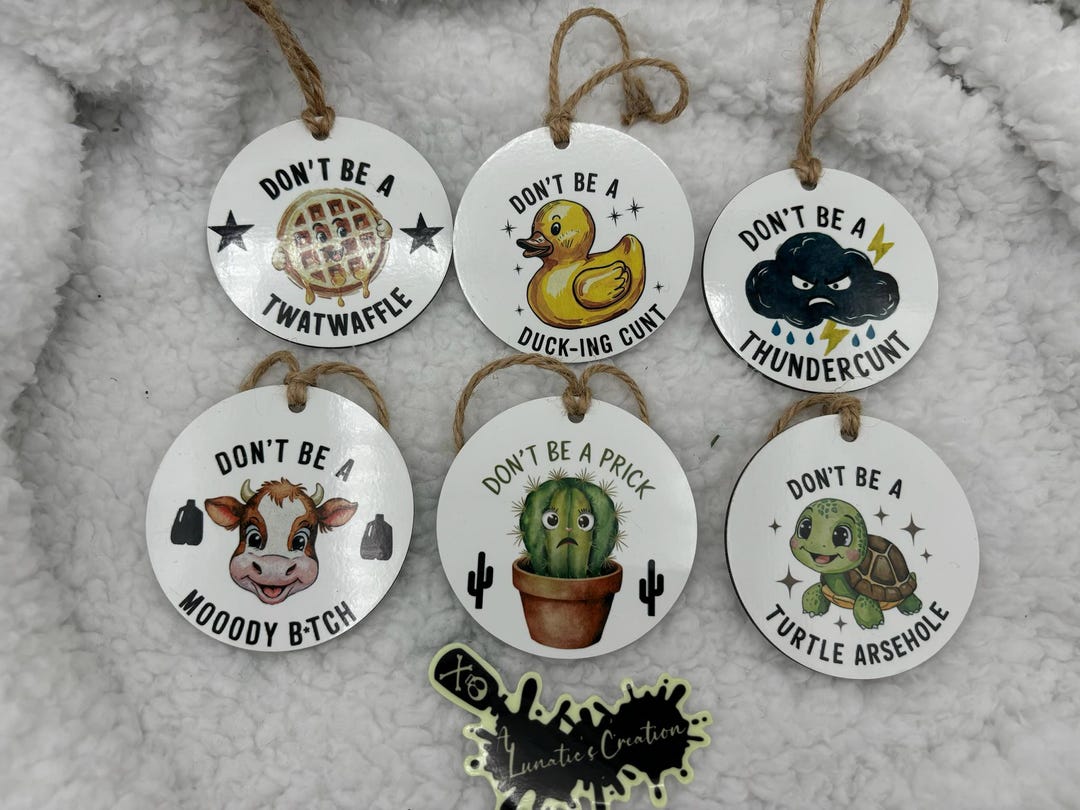 Swear Words Set of 6 MDF Christmas Ornaments, Humor, Inappropriate Gift ...