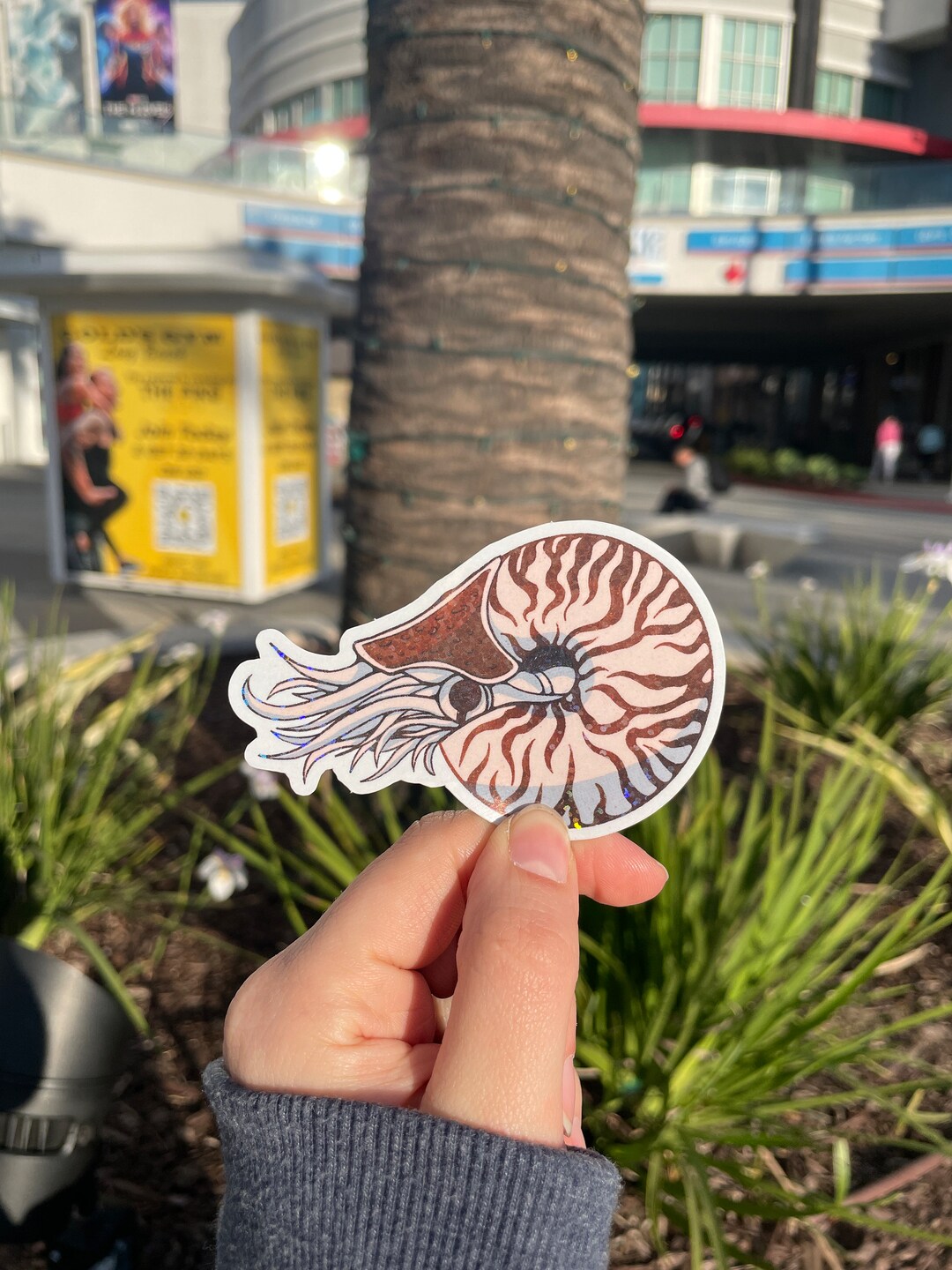Glitter Nautilus 3 Inch Sticker Prismatic Mollusk Cute Sea - Etsy