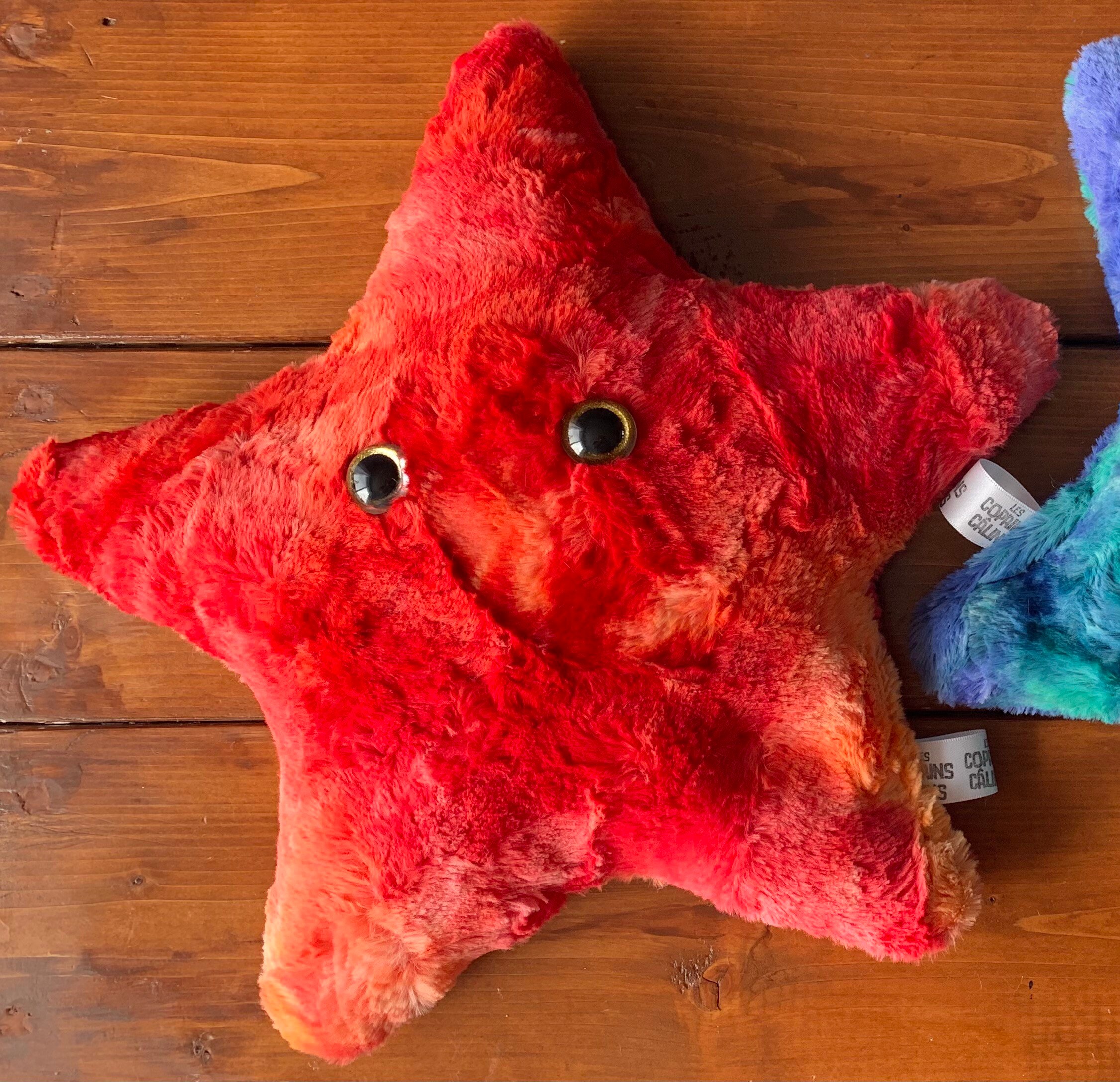 BIG Starfish Plush Toy Weighted Stuffed Animal 2 kg / 4.4 | Etsy