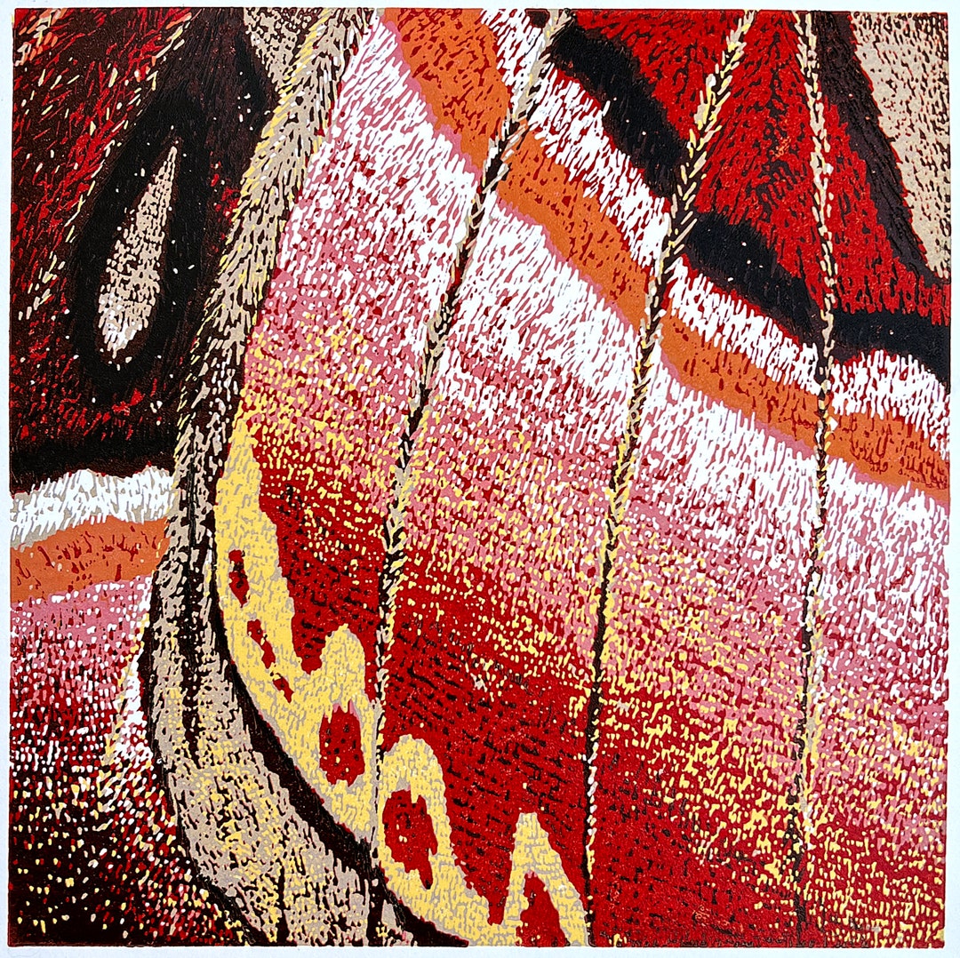 Atticus Atlas Moth Wing Reduction Linocut Art Print - Etsy