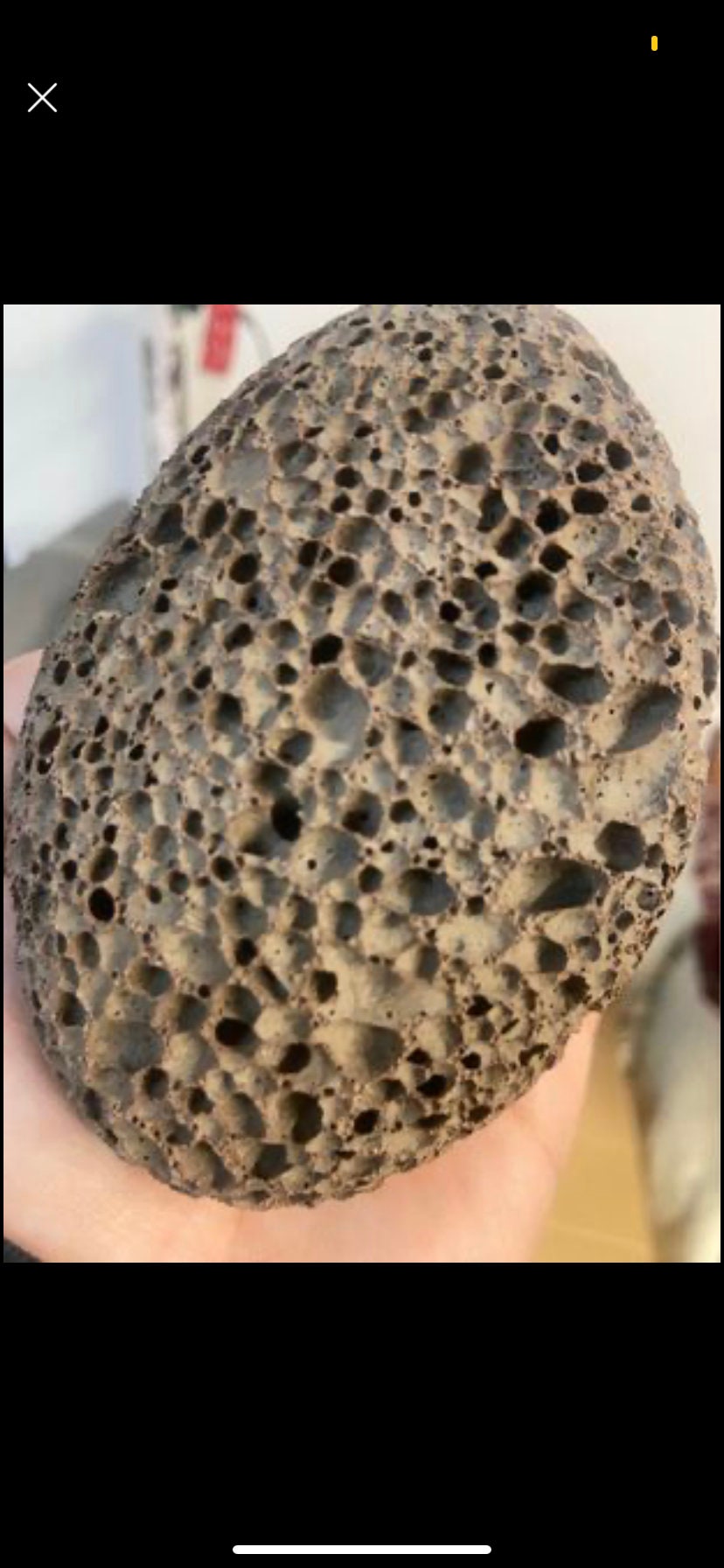 PUMICE STONE HAUL Massive Lot of Large Picking Stones, Picky Pumice ...