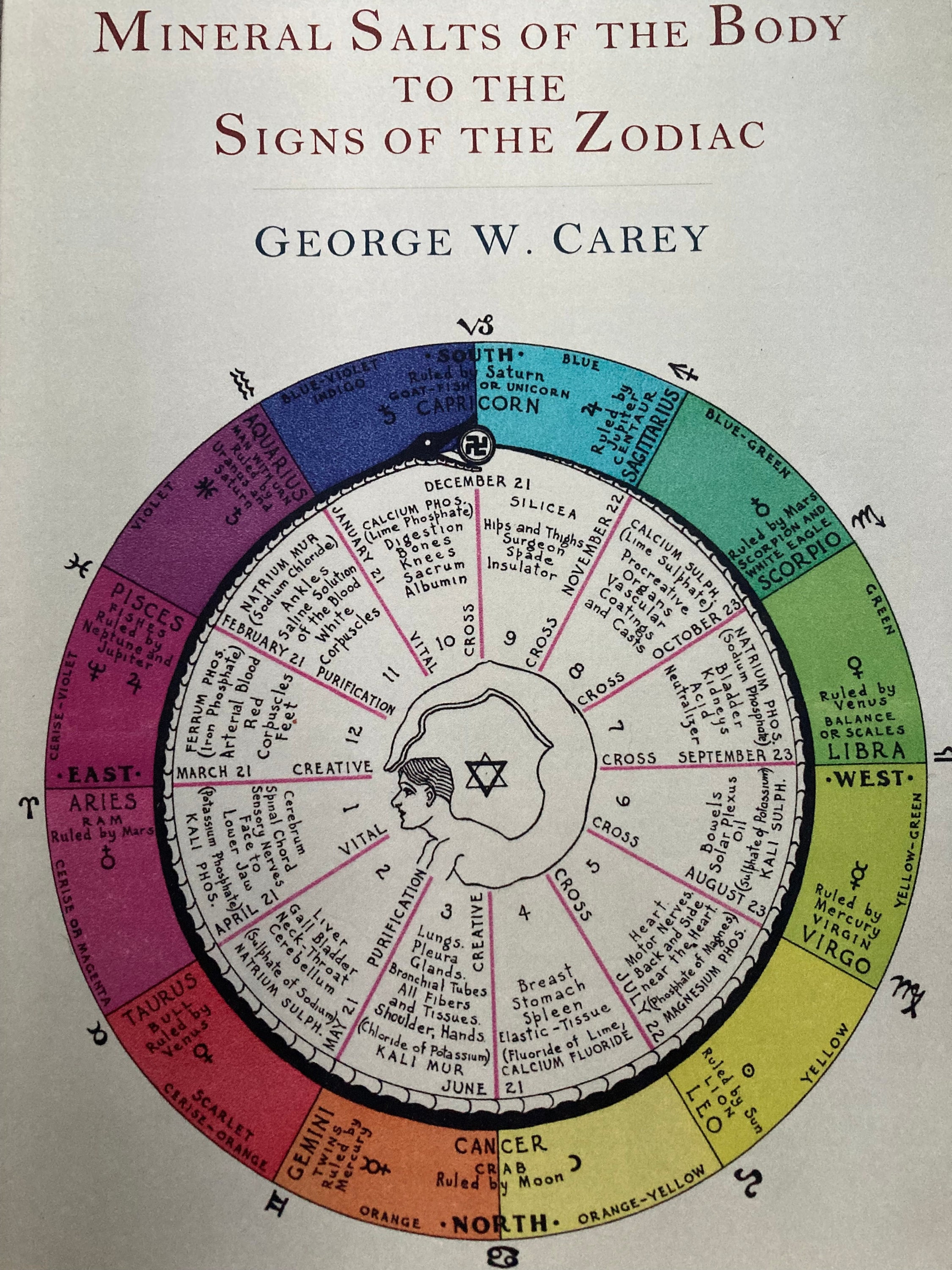 Constitutional Cell Salt Reading - Etsy