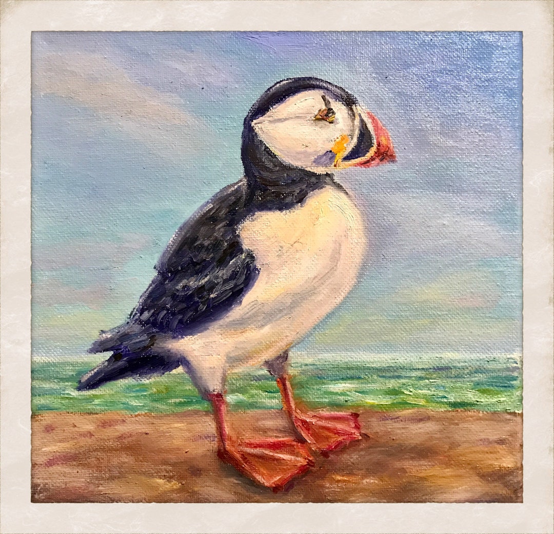 Original Oil Painting Puffin Bird Wall Art 10x10 Wild Life Animal Art ...