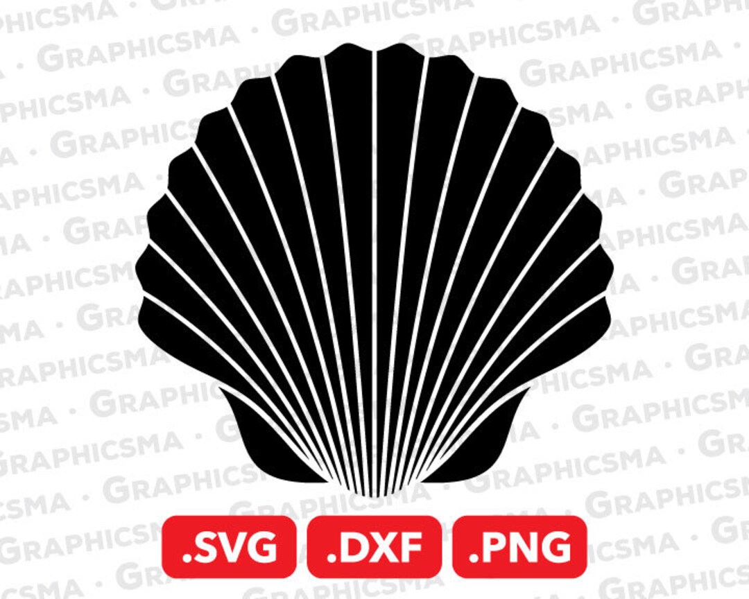 Seashell SVG File, Seashell DXF, Seashell Png, Sea Shell Svg, Seashell ...