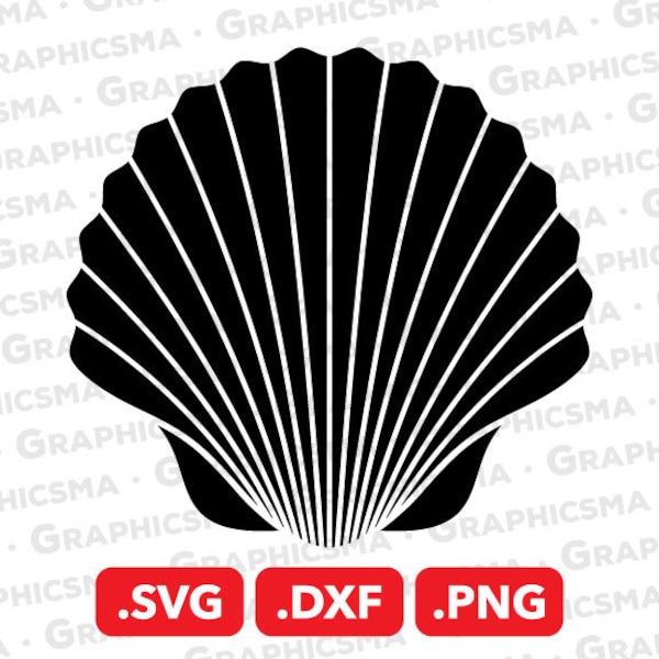 Shell Svg - Etsy