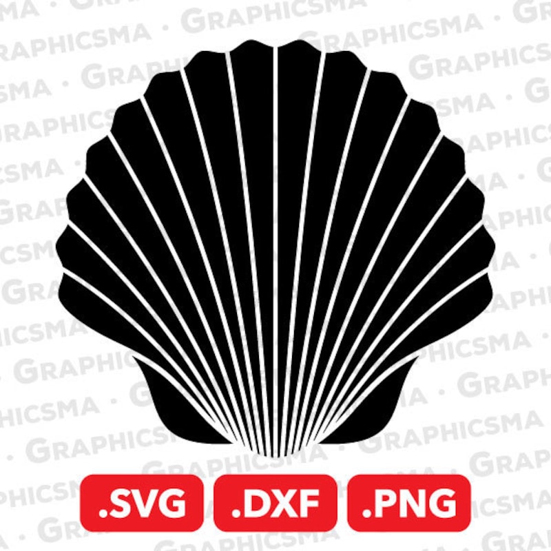 Seashell Svg - Etsy