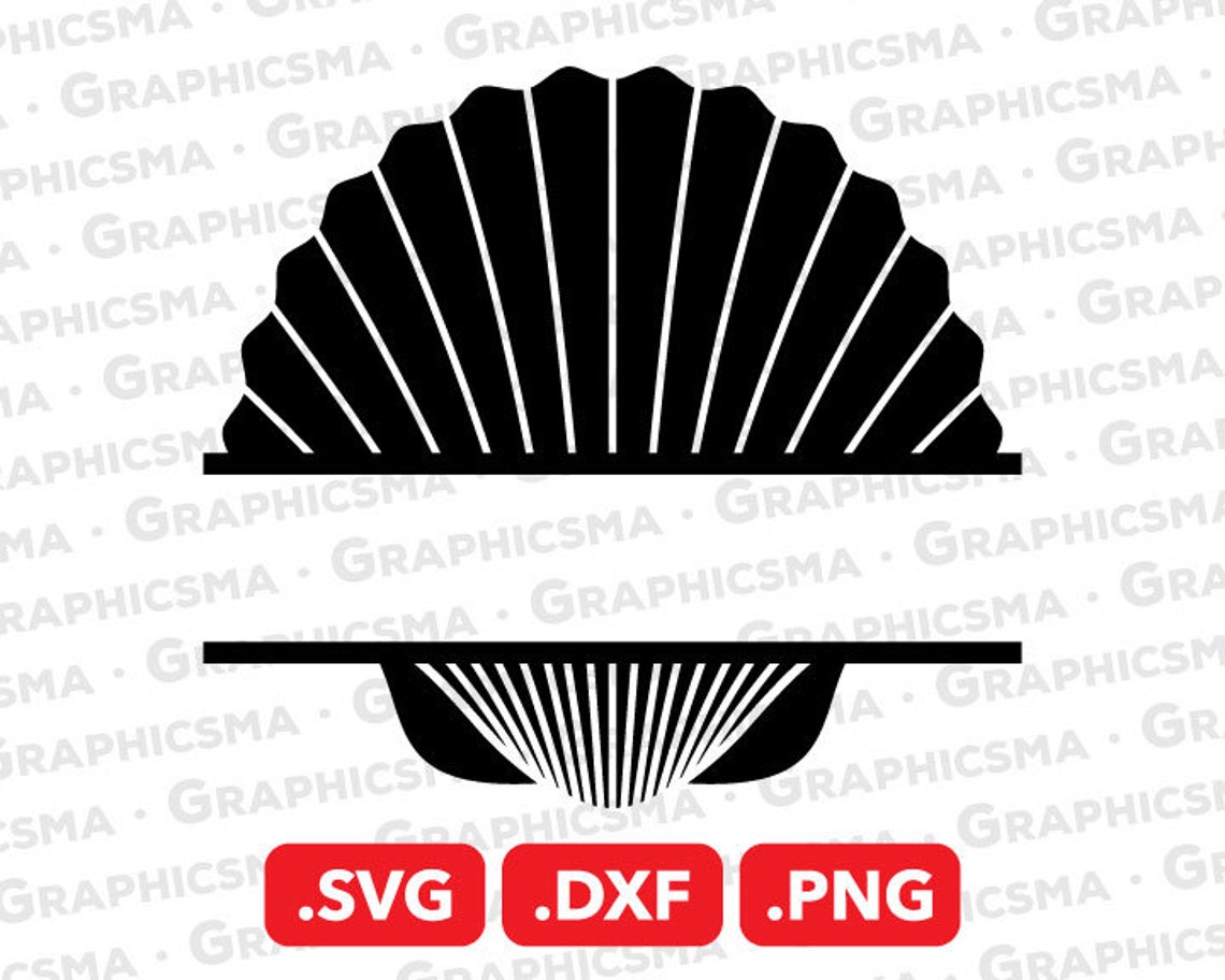 Seashell SVG File Seashell DXF Seashell Png Sea Shell Svg | Etsy