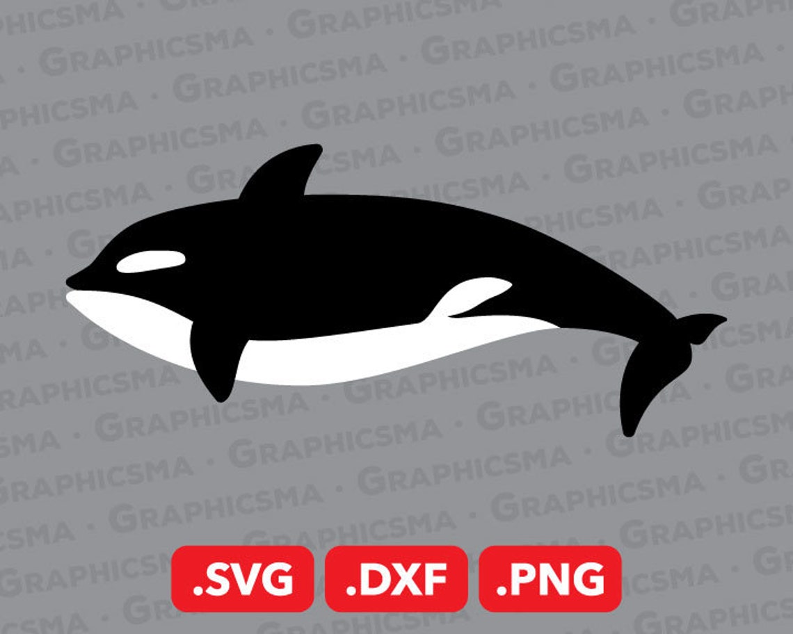 Killer Whale SVG File, Killer Whale DXF, Killer Whale Png, Killer Whale ...