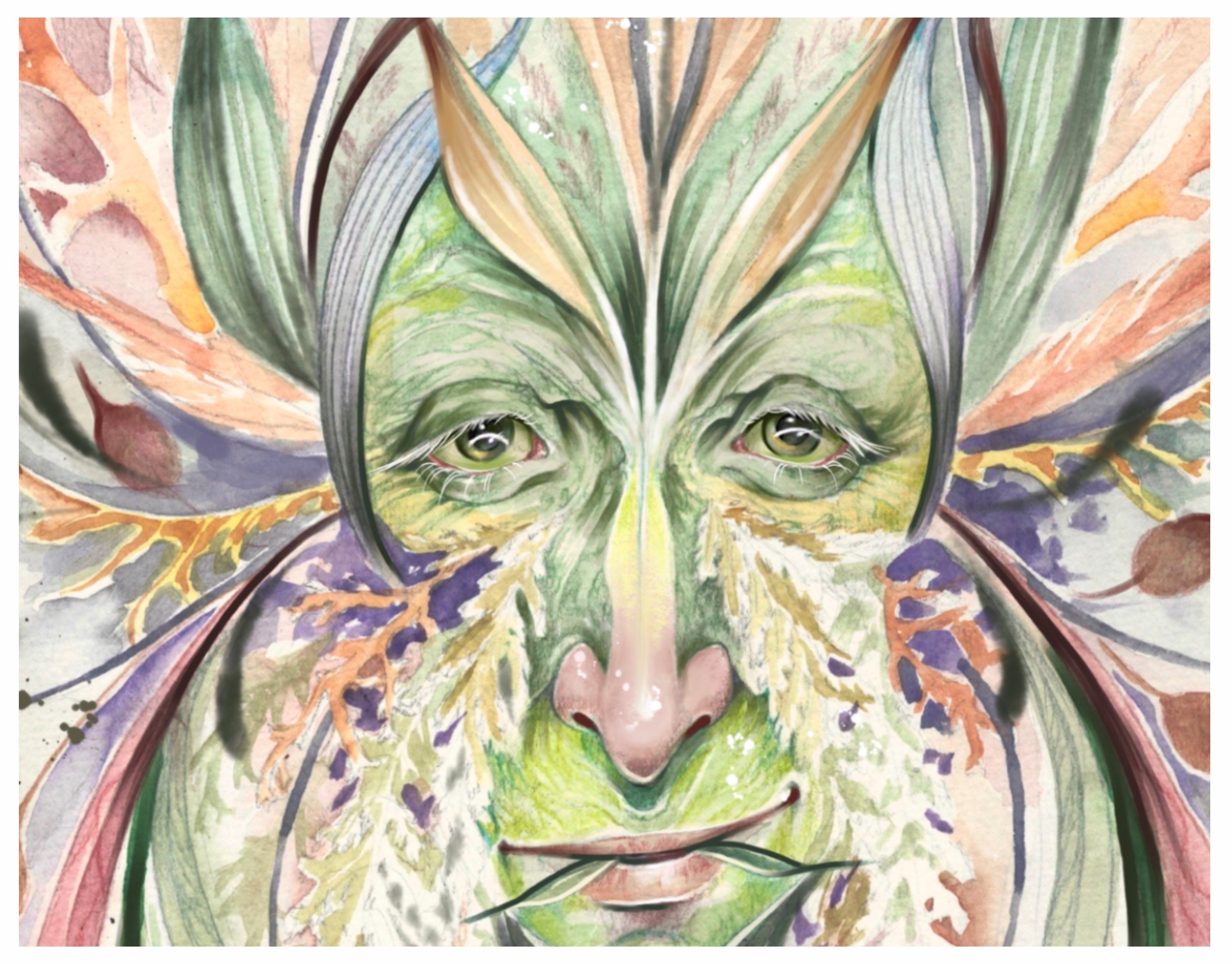 Bleistiftskizzen Von Feen