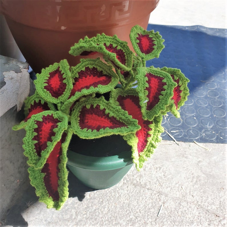 PATTERN Crochet Coleus Plant Cretona English & Español - Etsy