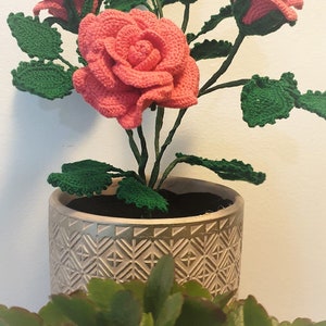 PDF Rose Bush Crochet PATTERN ONLY Step by Step English-español - Etsy
