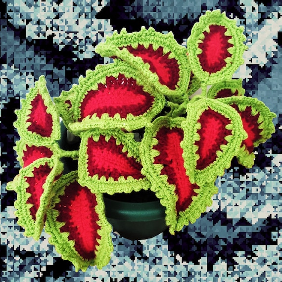 PATTERN Crochet Coleus Plant Cretona English & Español - Etsy