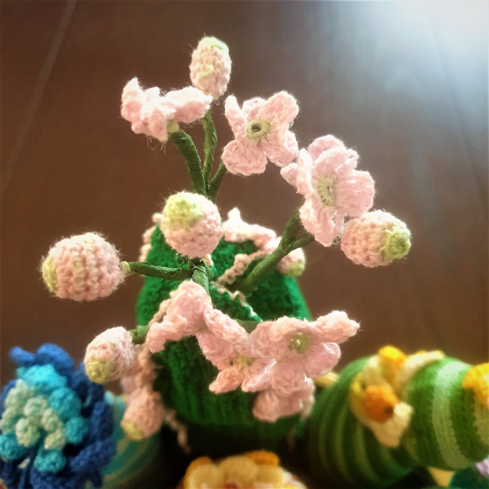 A Cactus Garden 10 Crochet Cactus Patterns Step by Step With Pictures ...