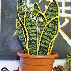 PDF Pattern Only: Crochet Sansevieria, Snake Plant, Mother-in-laws ...