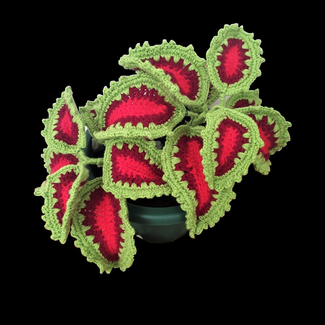 PATTERN Crochet Coleus Plant Cretona English & Español - Etsy