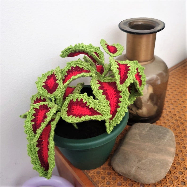 PATTERN Crochet Coleus Plant Cretona English & Español - Etsy