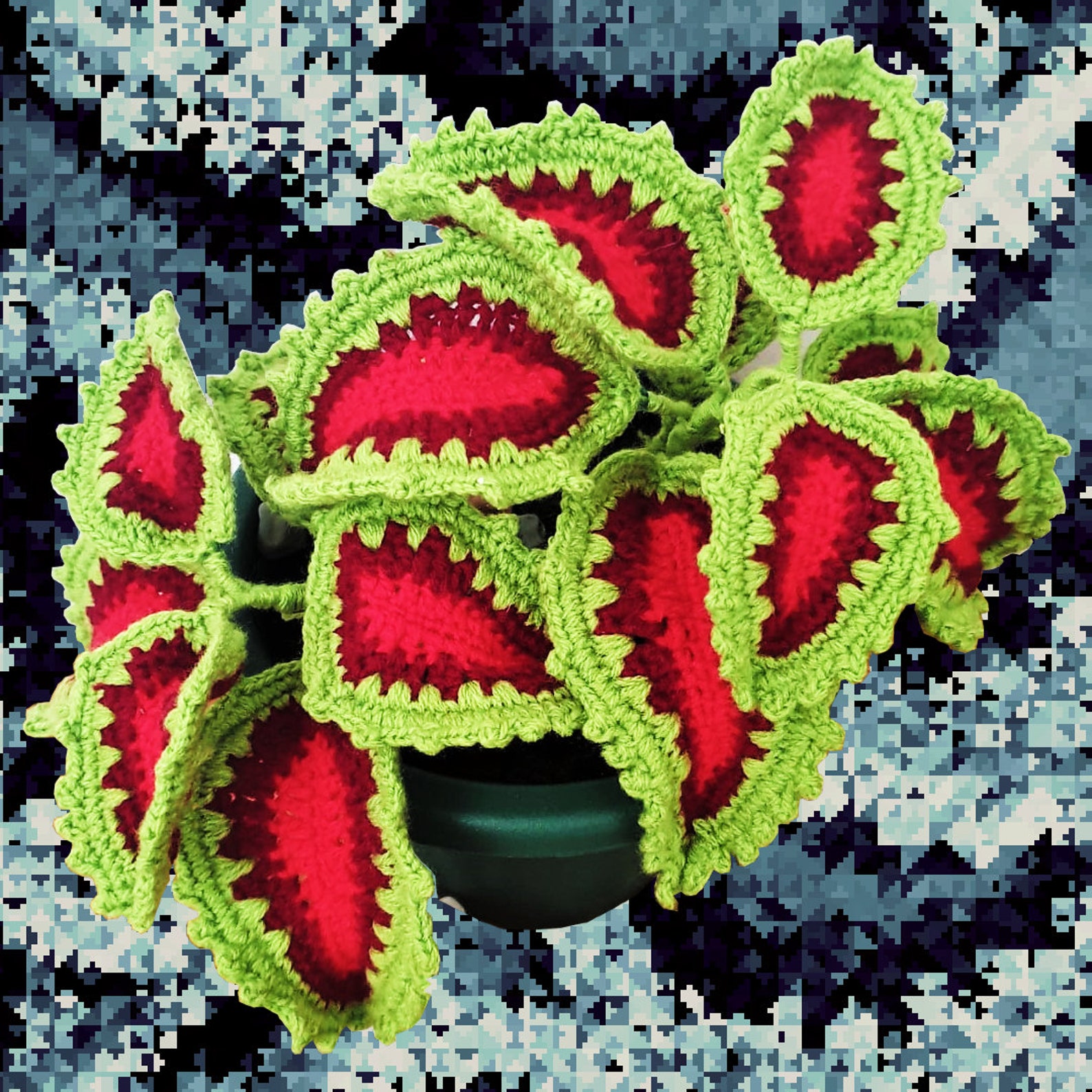 PATTERN Crochet Coleus Plant Cretona English & Español - Etsy