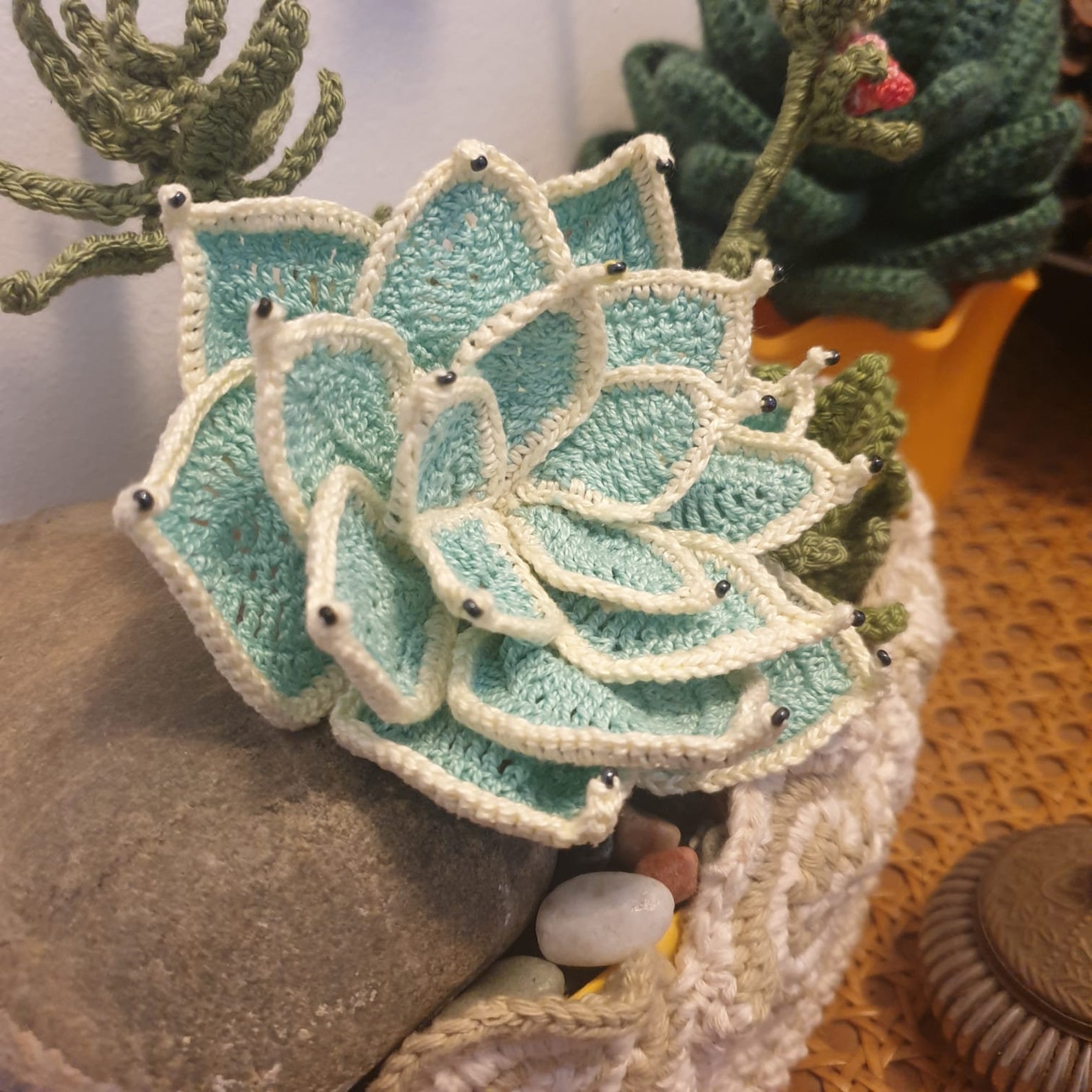 Succulent Trio PATTERN English and Spanish - Etsy