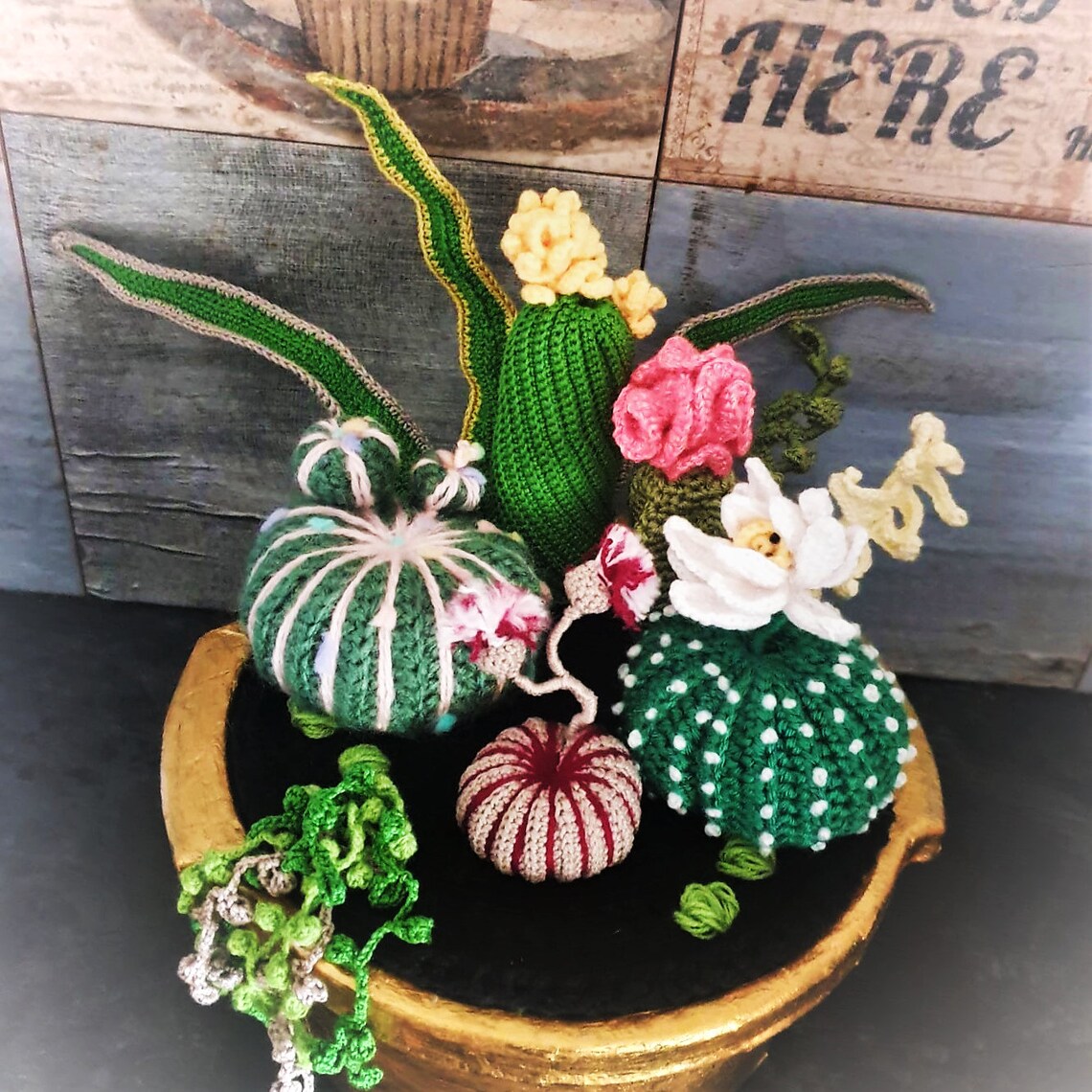 Crochet Pattern PDF 3 Cacti Plus Plants - Etsy