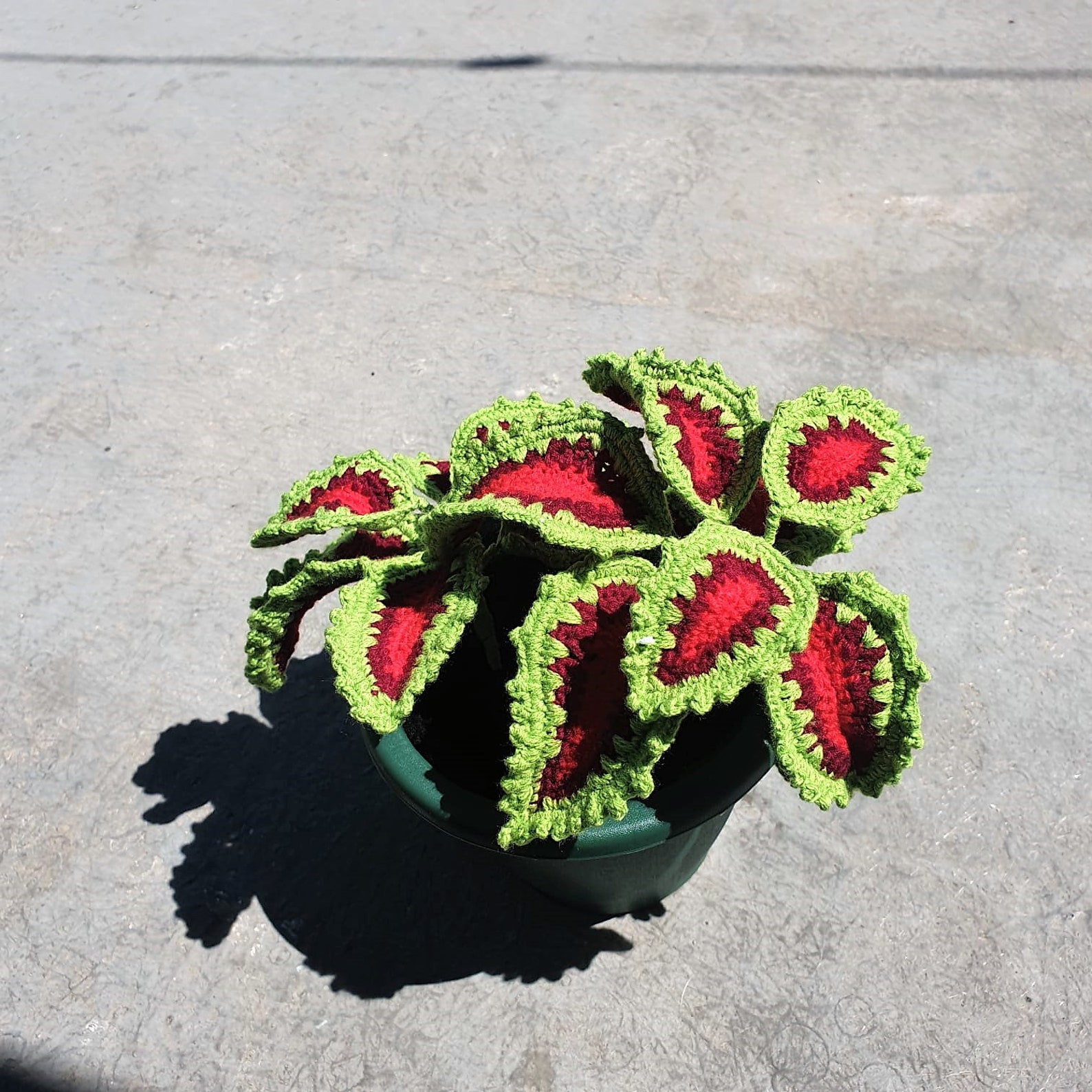 PATTERN Crochet Coleus Plant Cretona English & Español - Etsy