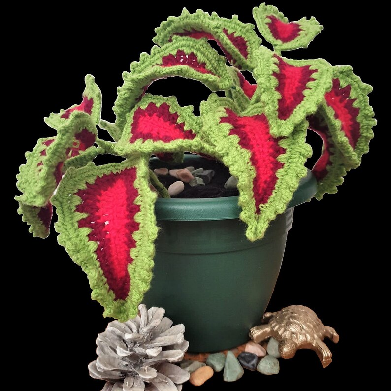 PATTERN Crochet Coleus Plant Cretona English & Español - Etsy