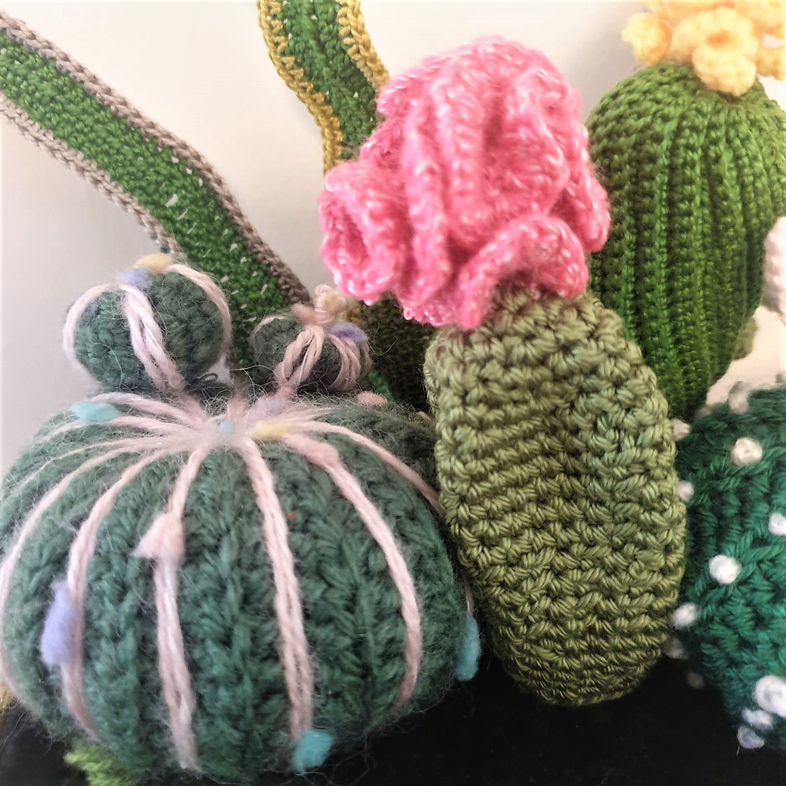 Crochet Pattern PDF 3 Cacti Plus Plants - Etsy